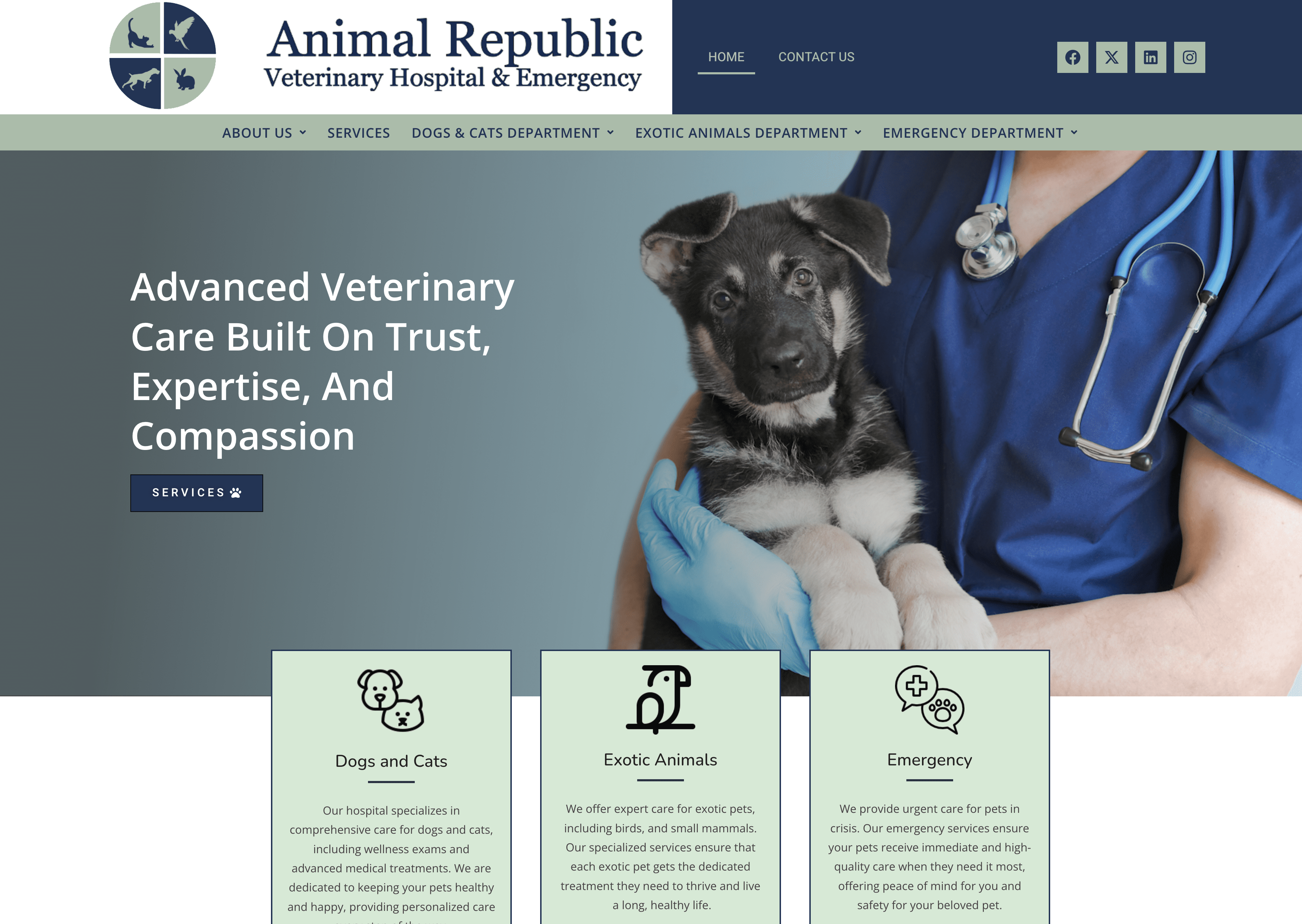Veterinary Website Design | Custom Websites for Animal Hospitals & Vets